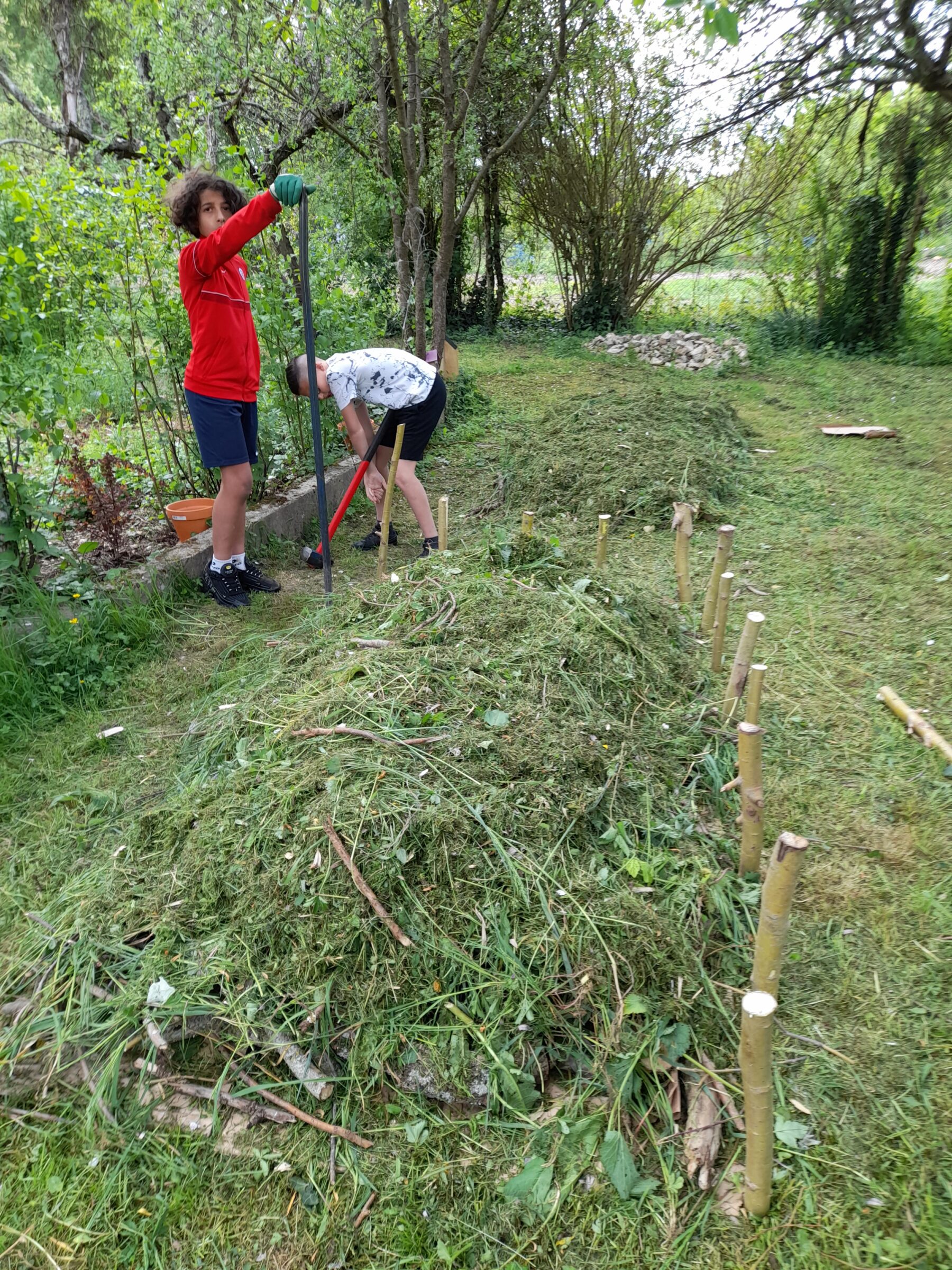 Chantier « buttes en permaculture » – COLLÈGE ROMAIN ROLLAND